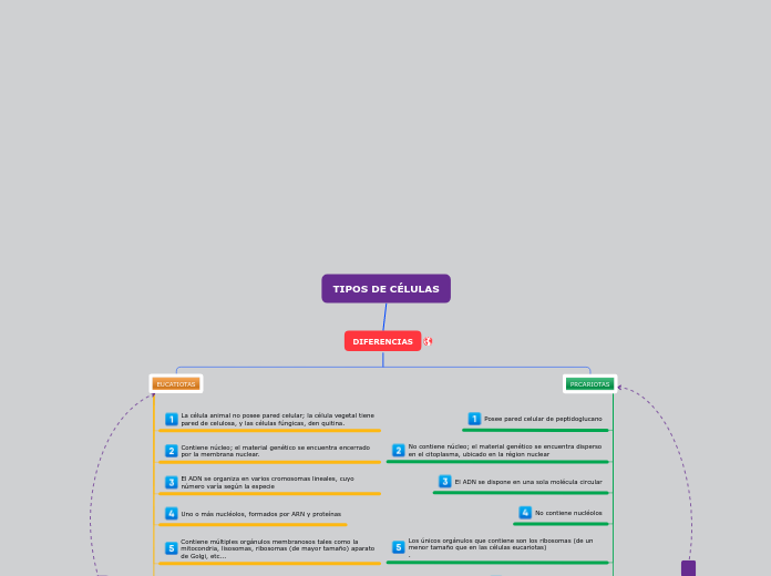 Célula eucariota y procariota - Mind Map